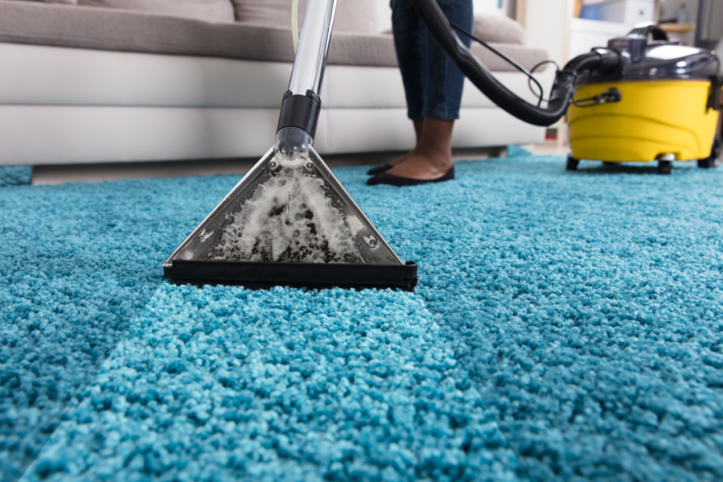 The Best Carpet Cleaner