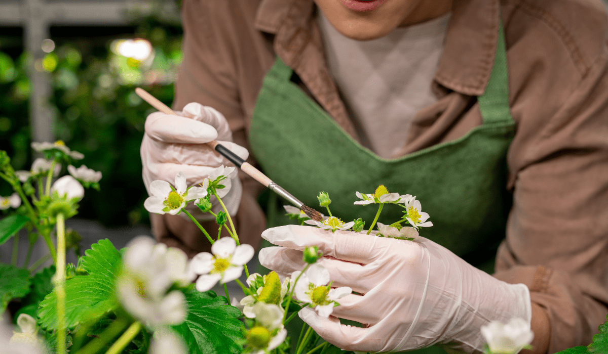 A Comprehensive Guide to Artificial Pollination in Your Garden